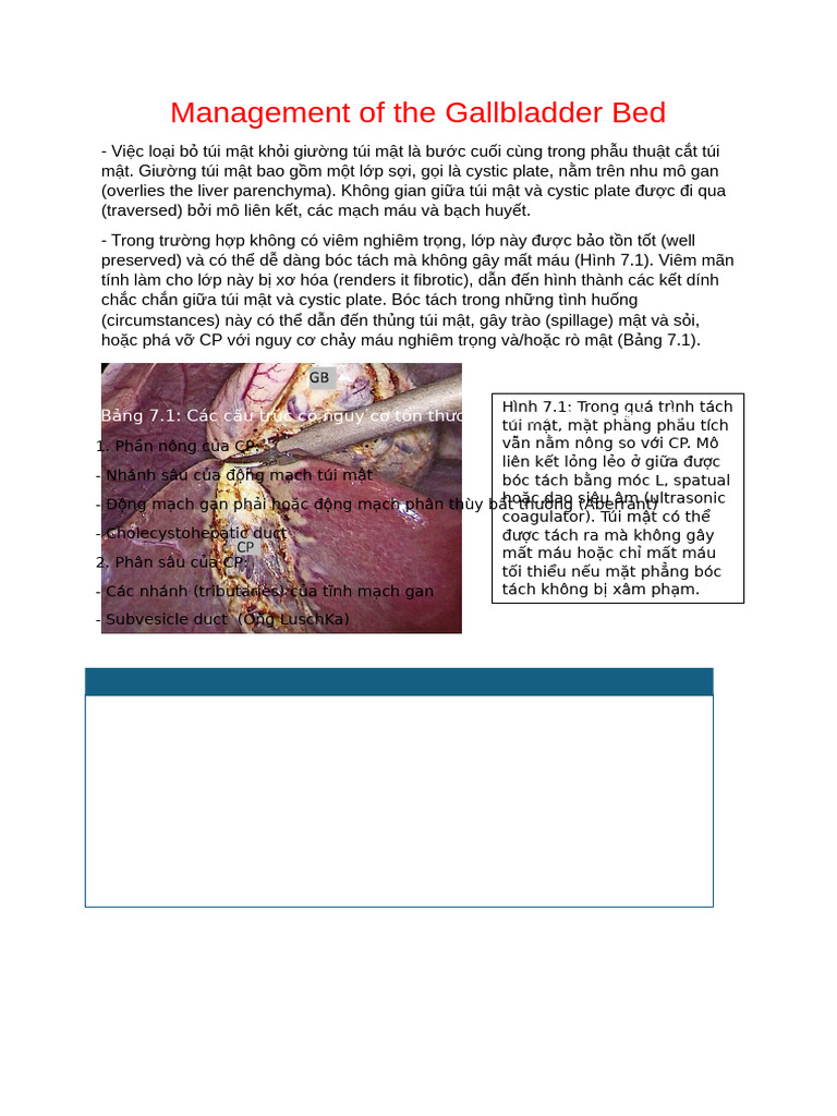 Chapter 7 - Management of the Gallbladder Bed | PDF