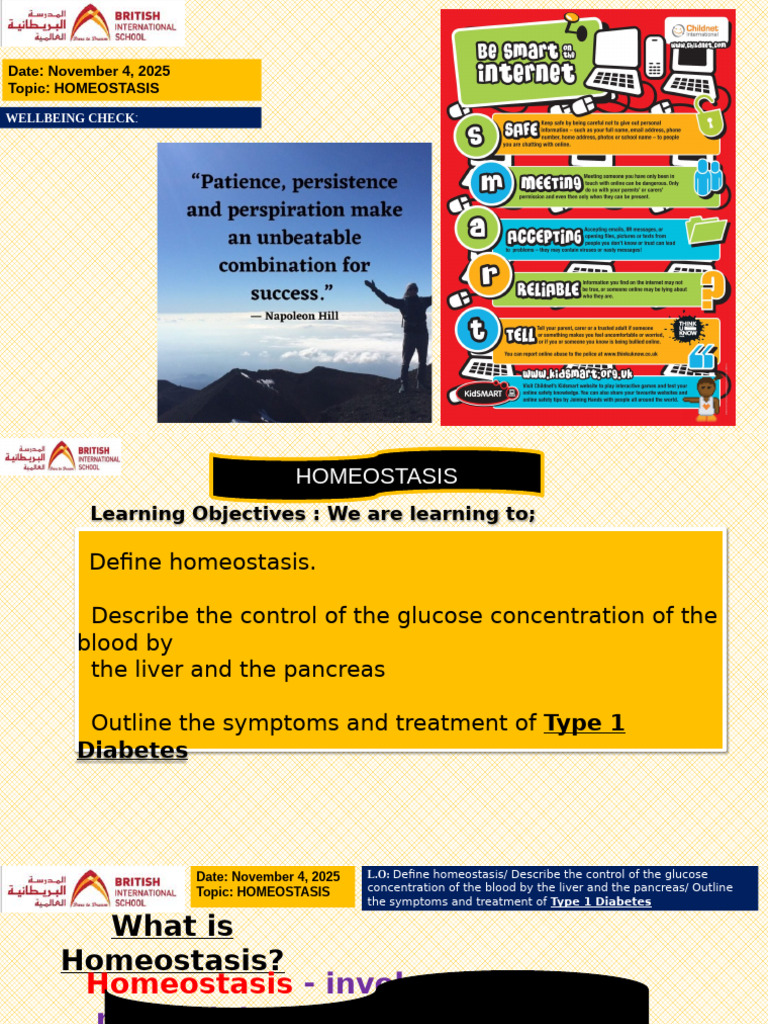 Lesson 9 - Homeostasis - Glucose Regulation 1 | PDF | Diabetes ...