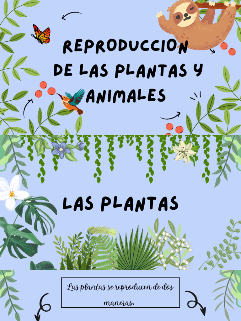 Reproducción de Las Plantas y Los Animales_20251104_113431_0000 | PDF