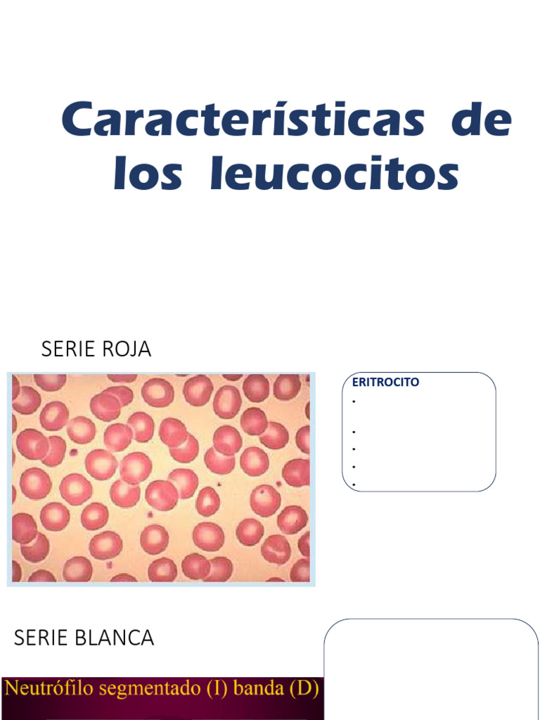 Características de los leucocitos | PDF