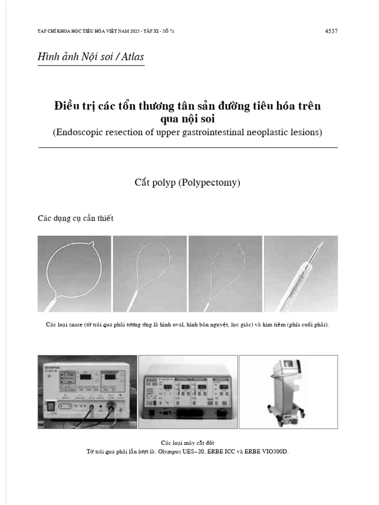 Atlas Cát Polyp 2023 | PDF