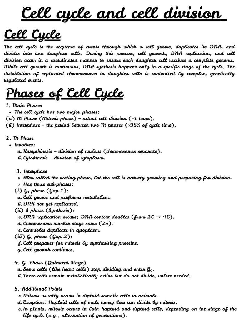 Understanding Cell Cycle and Division | PDF | Meiosis | Mitosis
