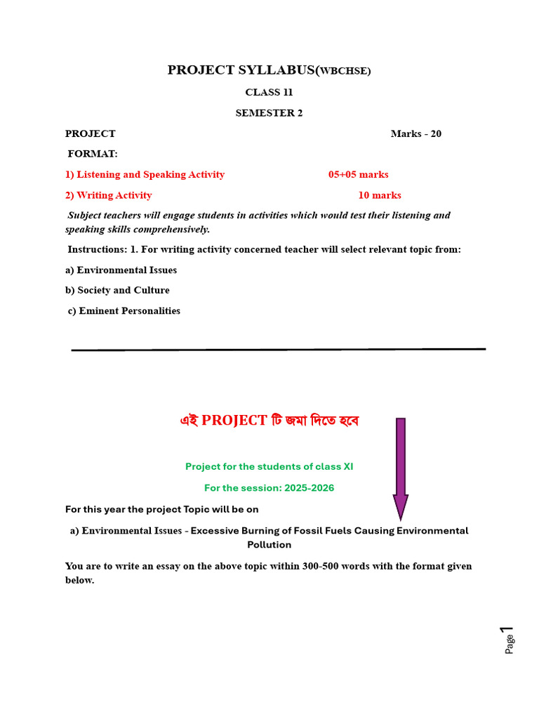Class 11 English Project: Environmental Issues | PDF | Teachers