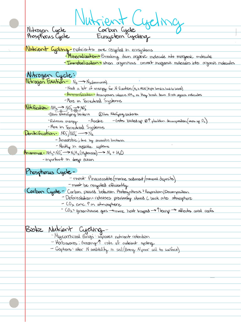 Nutrient Cycling | PDF