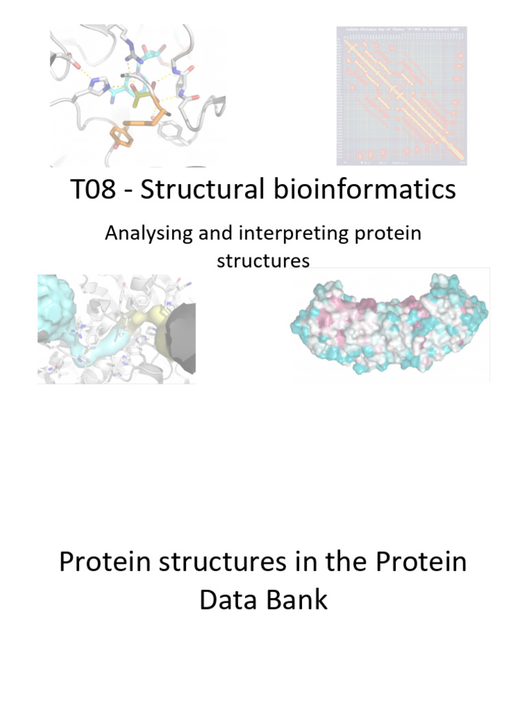 Structural Bioinformatics: PDB Guide | PDF | Protein Data Bank ...