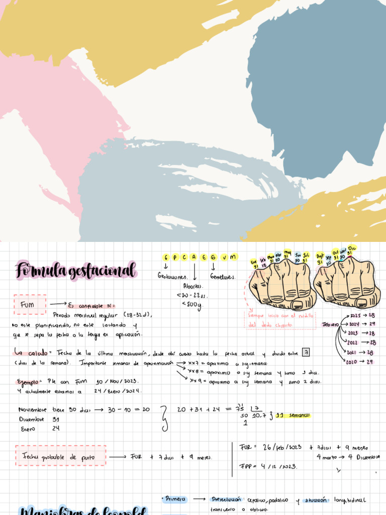 Resumen Gineco | PDF | Feto | Especialidades Medicas