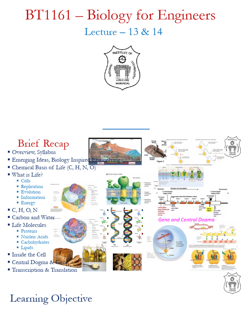 Lecture13 - Signal Transduction - QS | PDF | Cell Signaling | Hormone