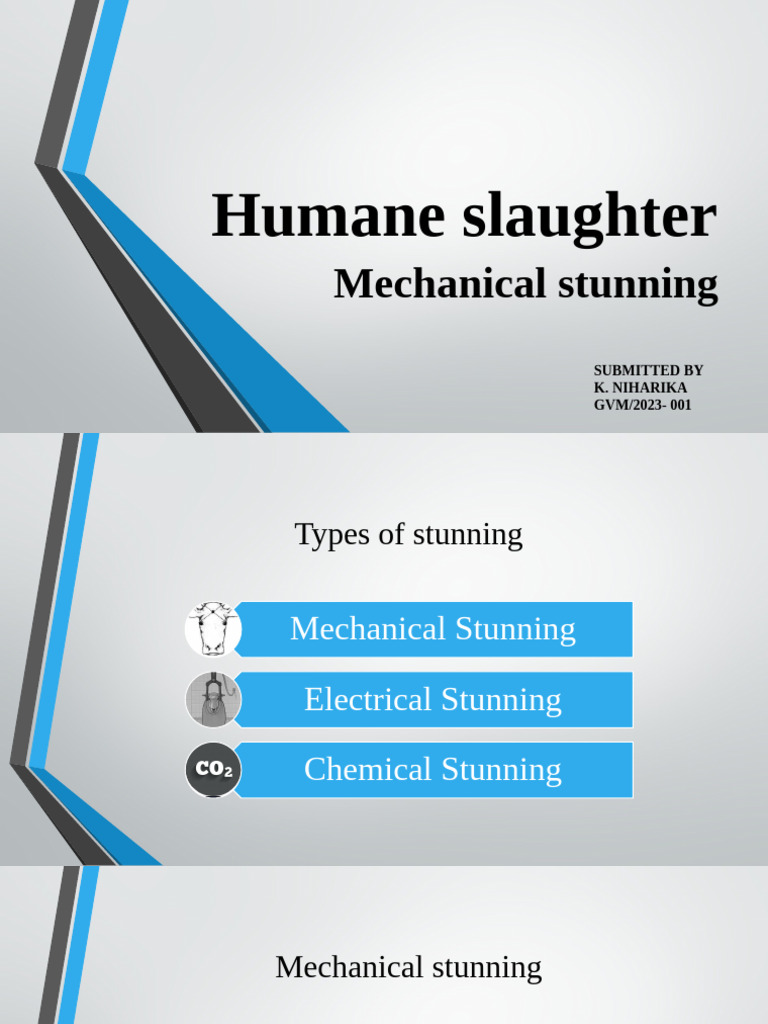 Humane Slaughter | PDF | Ammunition | Projectiles