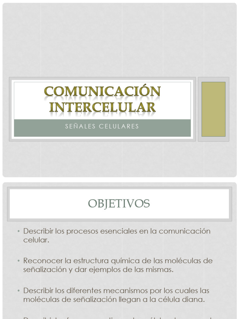 Comunicación Intercelular | PDF | Transducción de señales | Receptor (Bioquímica)