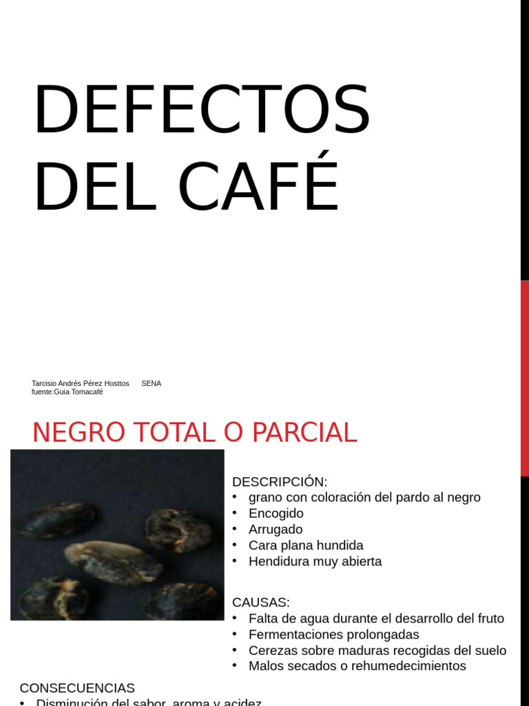 Defectos Del Café | PDF | café