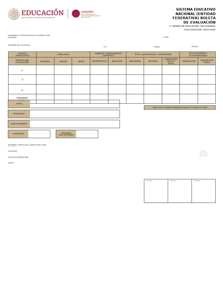 Formato de Boletas | PDF | Educación Secundaria | Science