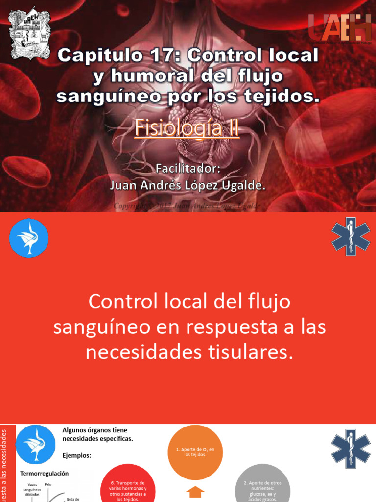 Control Local y Humoral Del Flujo Por Los Tejidos | PDF | Endotelio ...