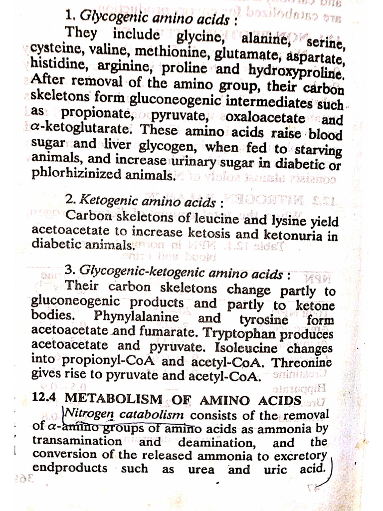 Fate of Glucogenic and Ketogenic Amino Acids-1 | PDF