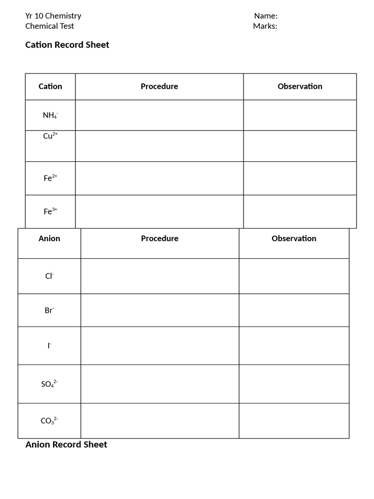 Year 10 Chemistry Cation and Anion Tests | PDF