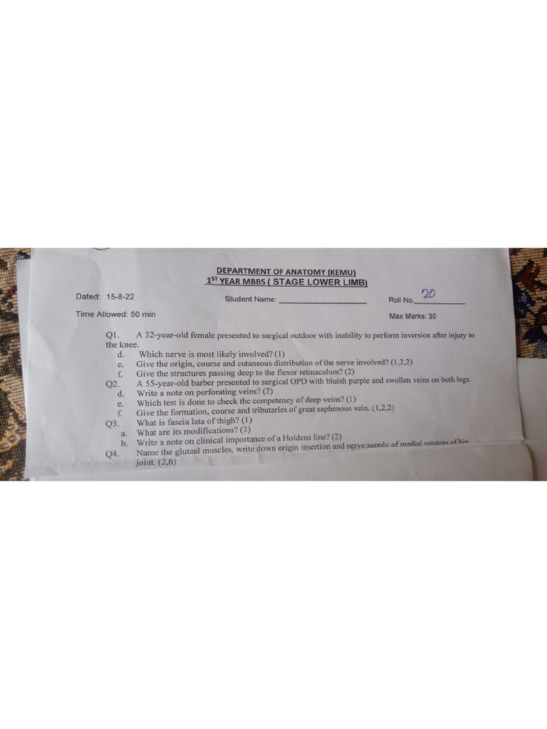 Anatomy Tests KEMU'26 | PDF