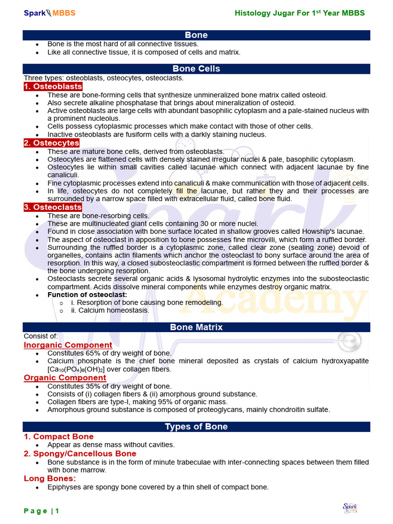 Histology Jugar 1st Year | PDF | Bone | Axon