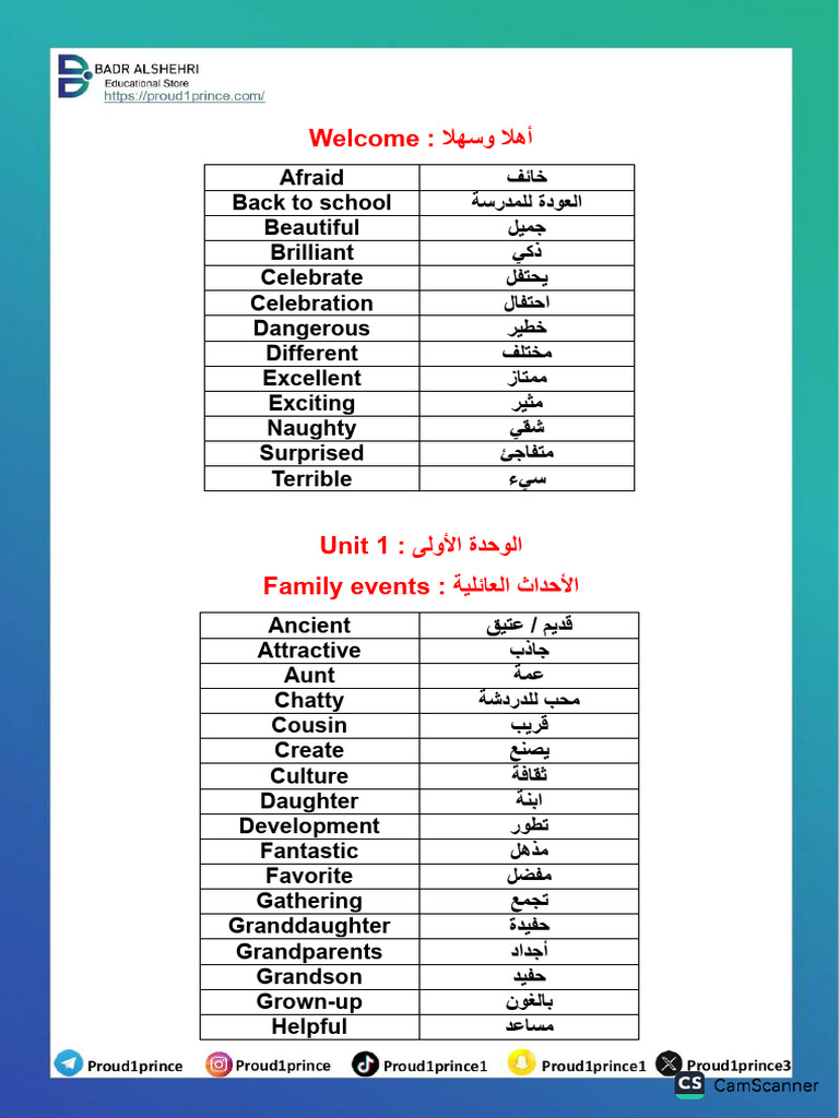 Top Goal 1 Dictionary | PDF