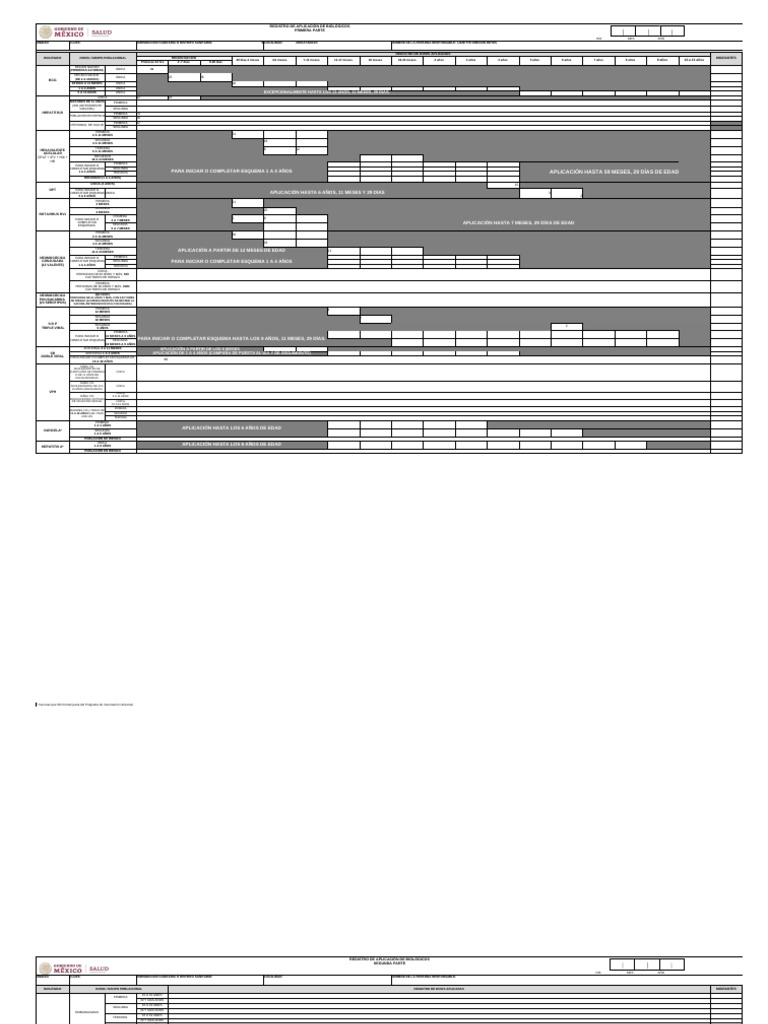 Formato SINBA-SIS-06-P 2025 | PDF | Especialidades Medicas | Vacunación