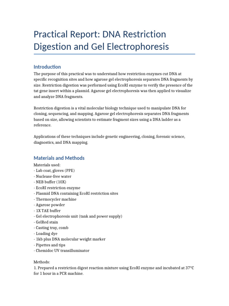 Virtual Restriction Digest Analysis | PDF | Gel Electrophoresis ...
