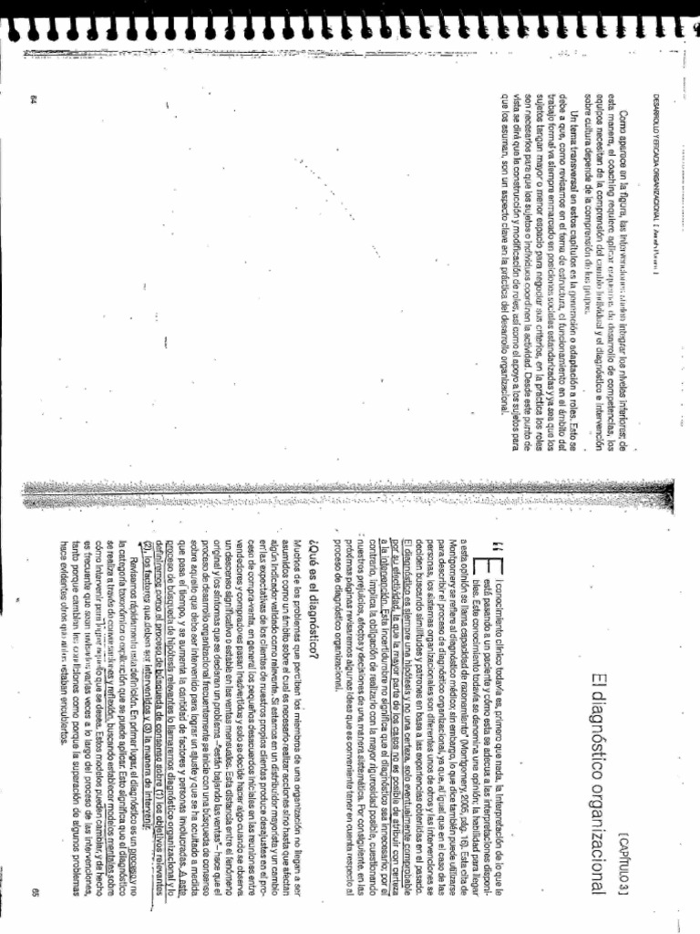 Pucheu - Cap3 Desarrollo y Eficacia Organizacional | PDF