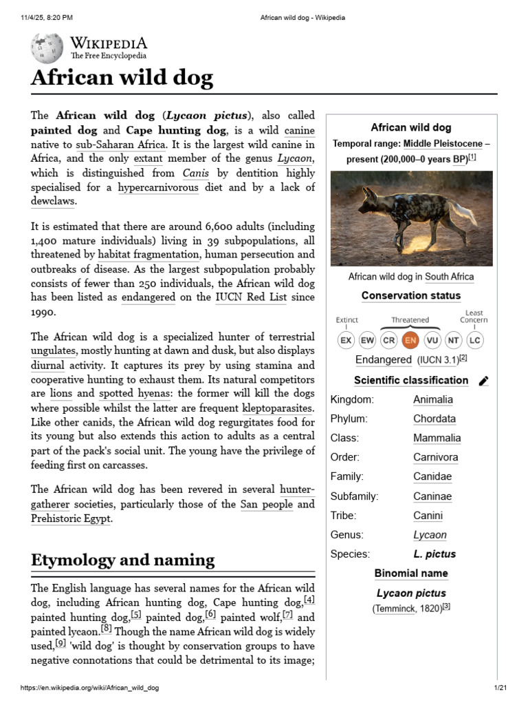 African Wild Dog - Wikipedia | PDF | Canis | Lion