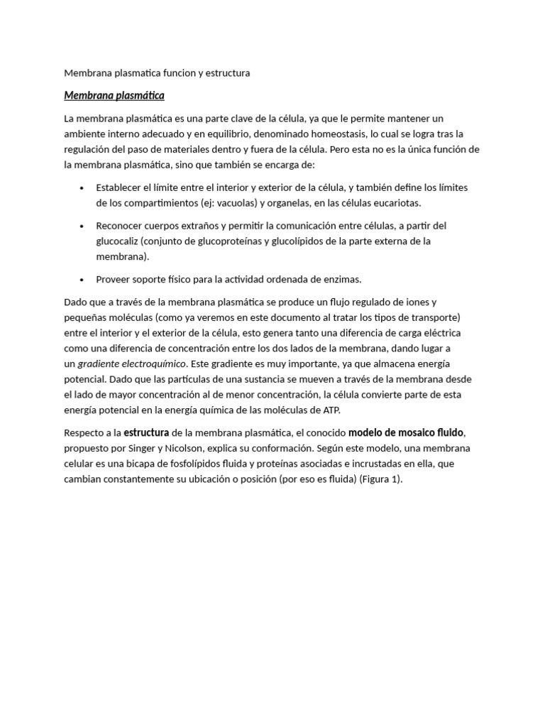 Estructura y funciones de la membrana plasmática | PDF | Membrana ...