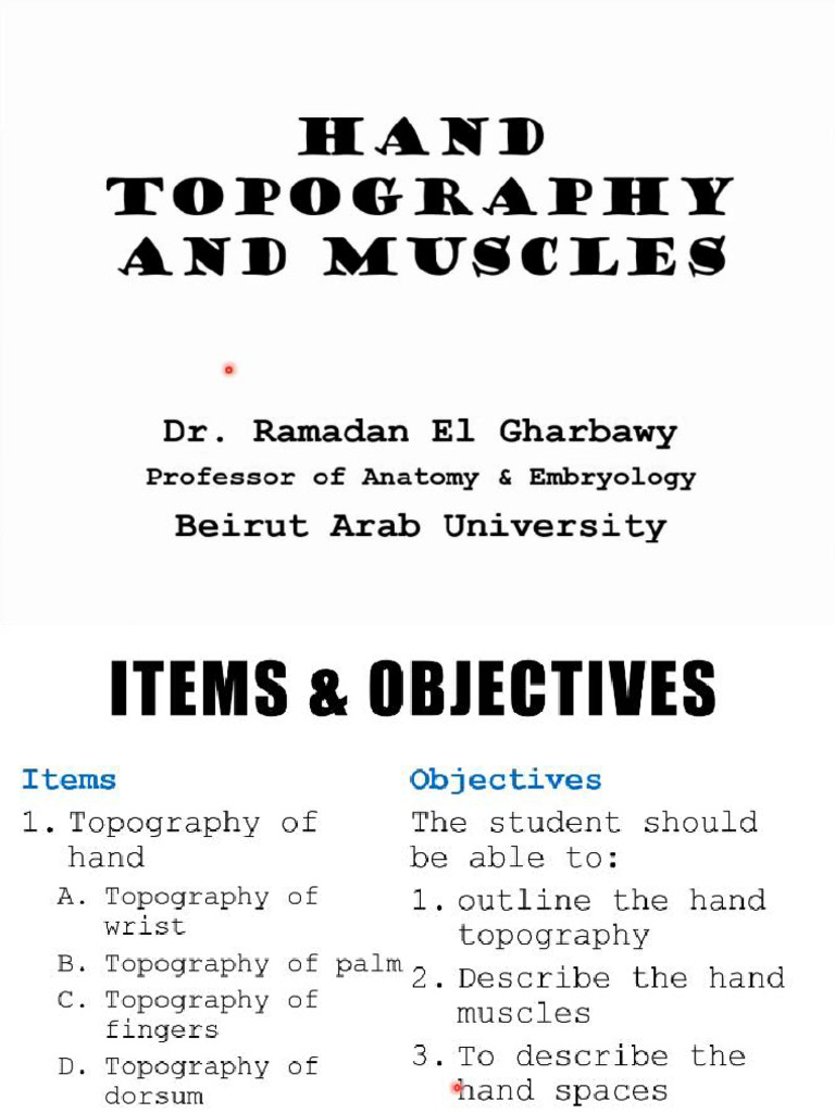 Hand Topography and Muscles | PDF