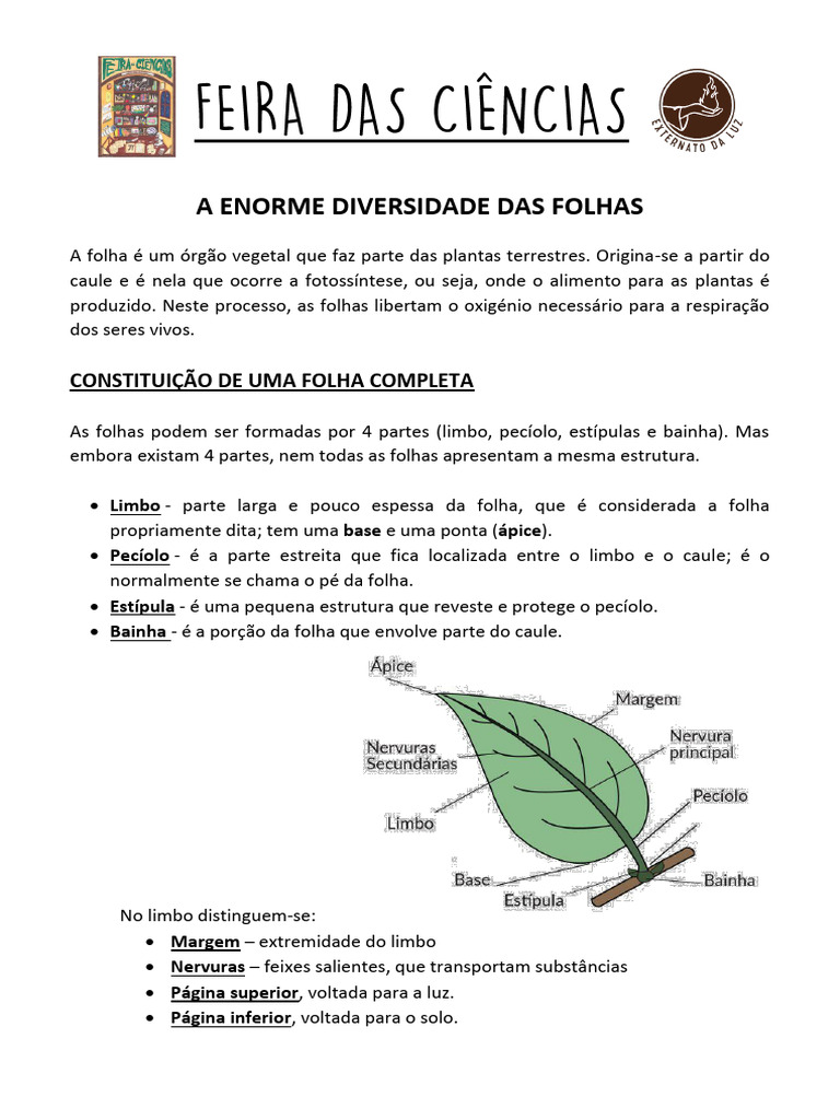 Classificação de Folhas - Info Para Os Alunos Orientadores | PDF ...
