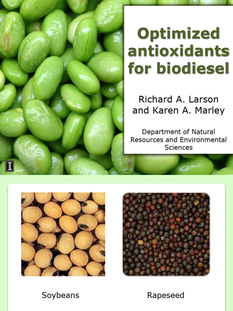 Biodiesel Antioxidants Presentation Natural Resources | PDF | Biodiesel | Triglyceride