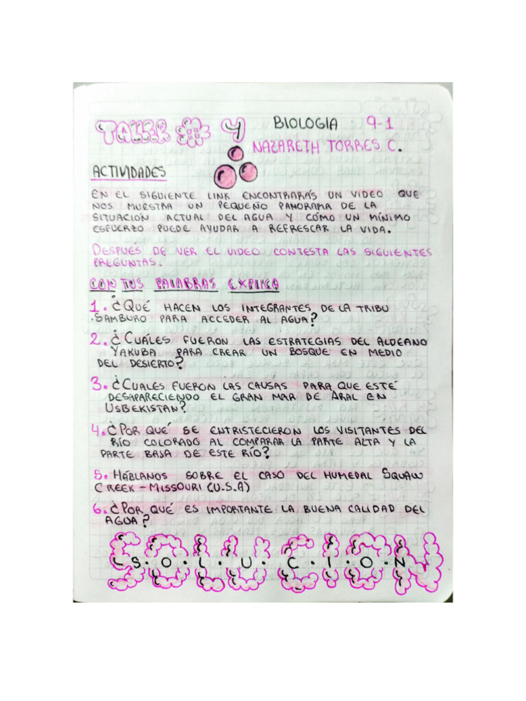 Documento | PDF