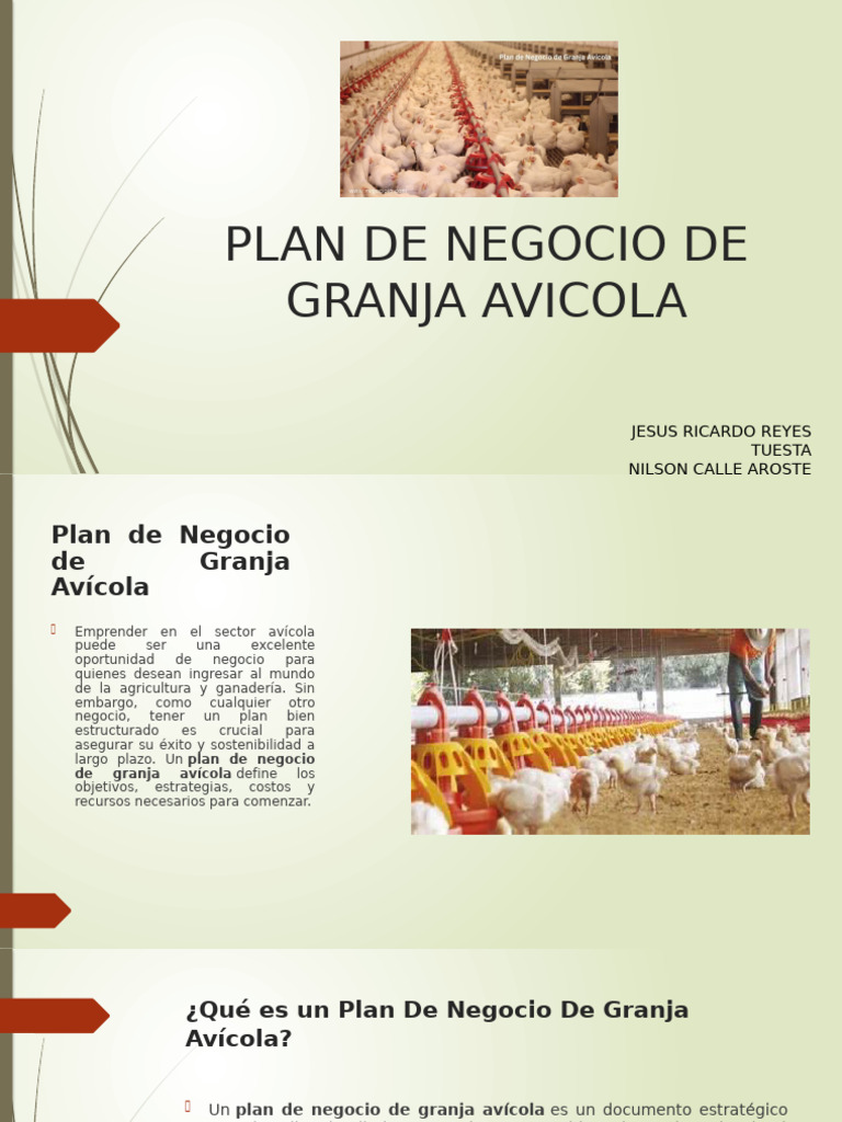 Plan de Negocio para Granja Avícola | PDF | Plan de negocios | Granjas