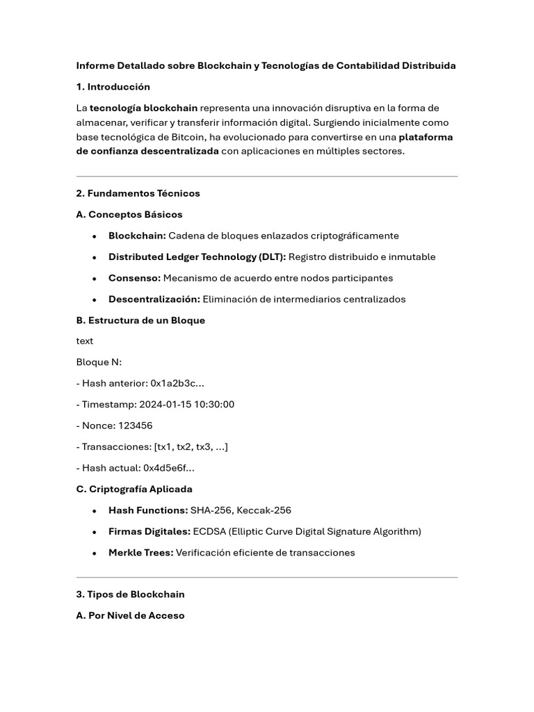 Informe Detallado Sobre Blockchain y Tecnologías de Contabilidad ...