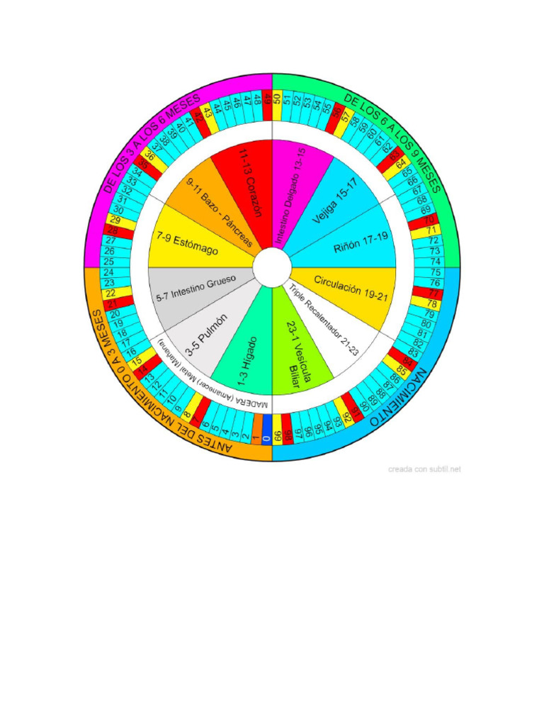 Tablas de pendulo circulares | PDF