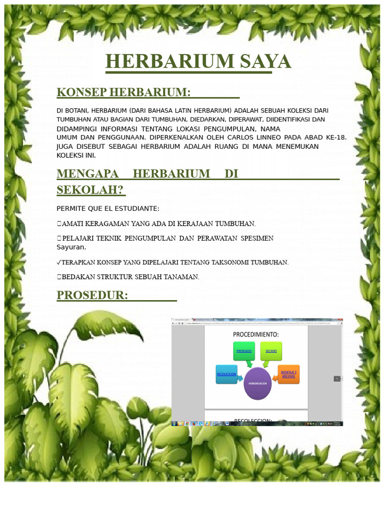 Konsep Herbarium | PDF