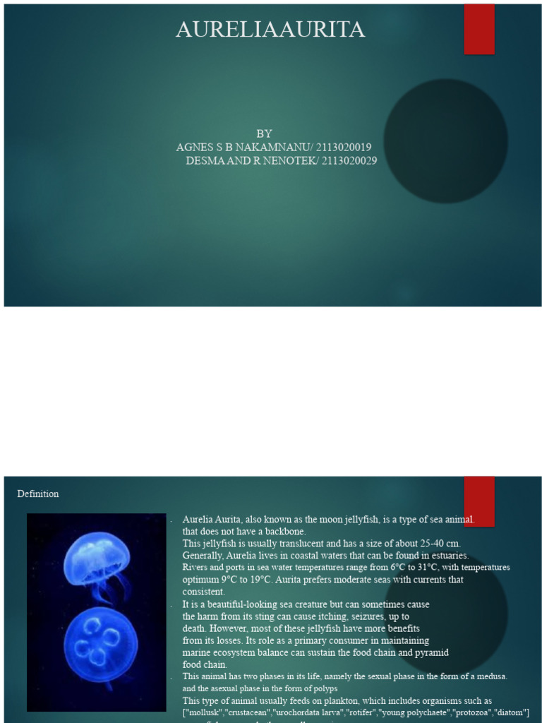 (10) AURELIA AURITA | PDF | Venomous Animals | Zoology