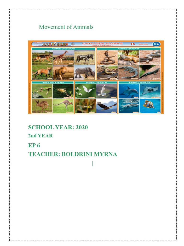 DISPLACEMENT OF ANIMALS-2 | PDF | Knowledge | Fly