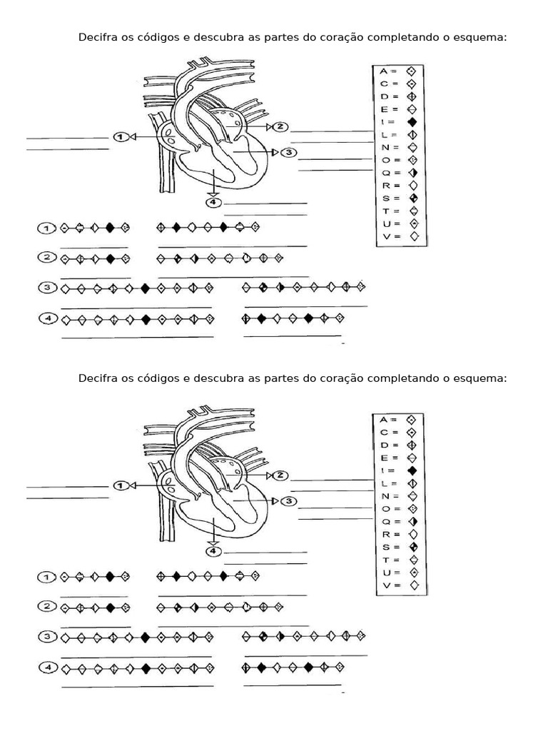 Decifra Os Códigos e Descubra As Partes Do Coração Completando o ...