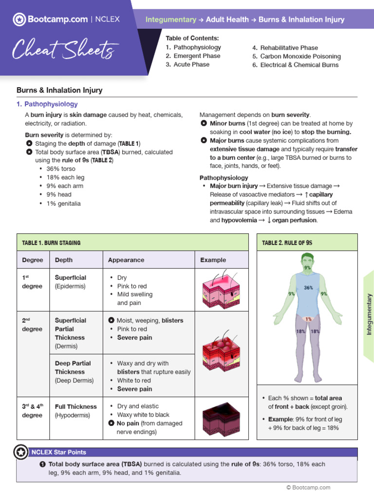 Burns & Inhalation Injury Cheat Sheet | PDF | Burn | Medical Emergencies