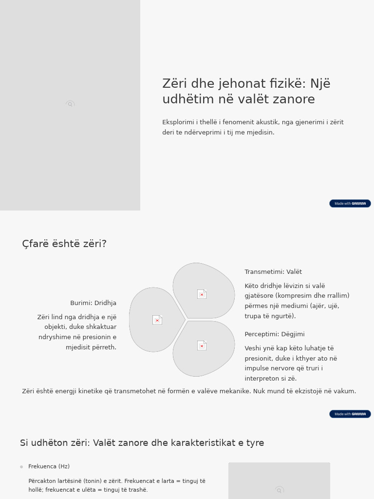 Zeri Dhe Jehonat Fizike Nje Udhetim Ne Valet Zanore | PDF