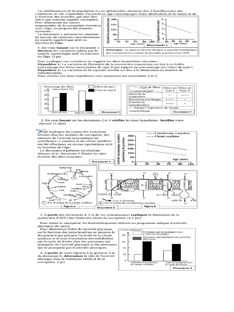 Ex CH1 | PDF