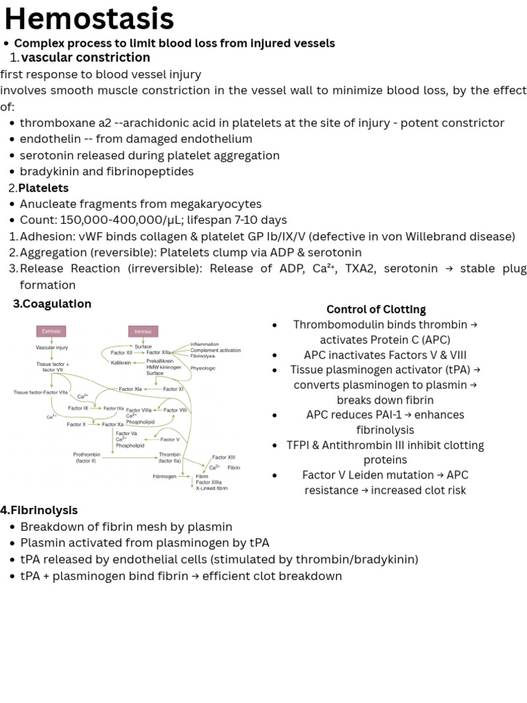 Hemostasis: Key Processes Explained | PDF