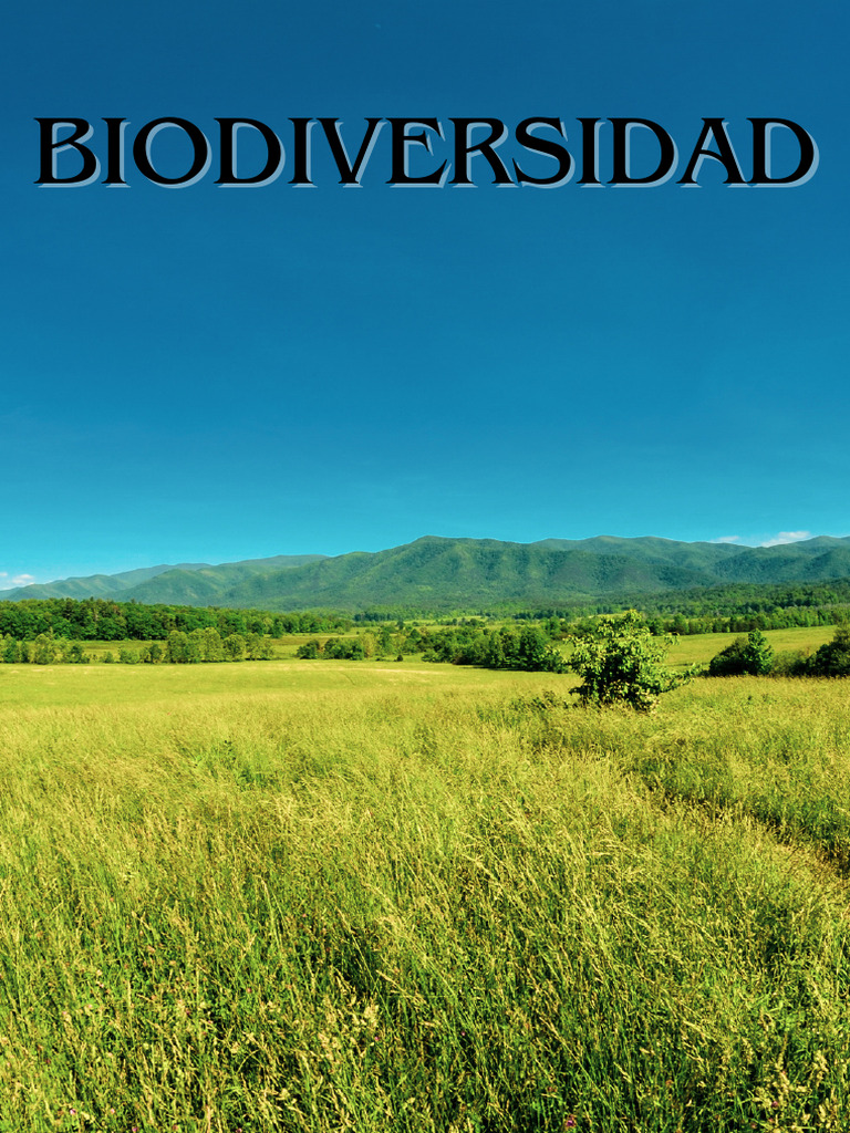 Como Realizar La Maqueta - 20250408 - 192856 - 0000 | PDF | Papel | Agua