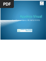 Visual Acuity Conversion Charts | PDF | Eye | Face