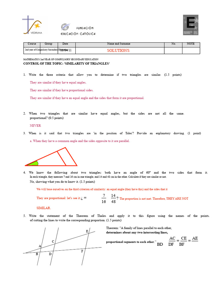 Triangle Similarity Solutions Guide | PDF | Triangle | Euclidean Geometry