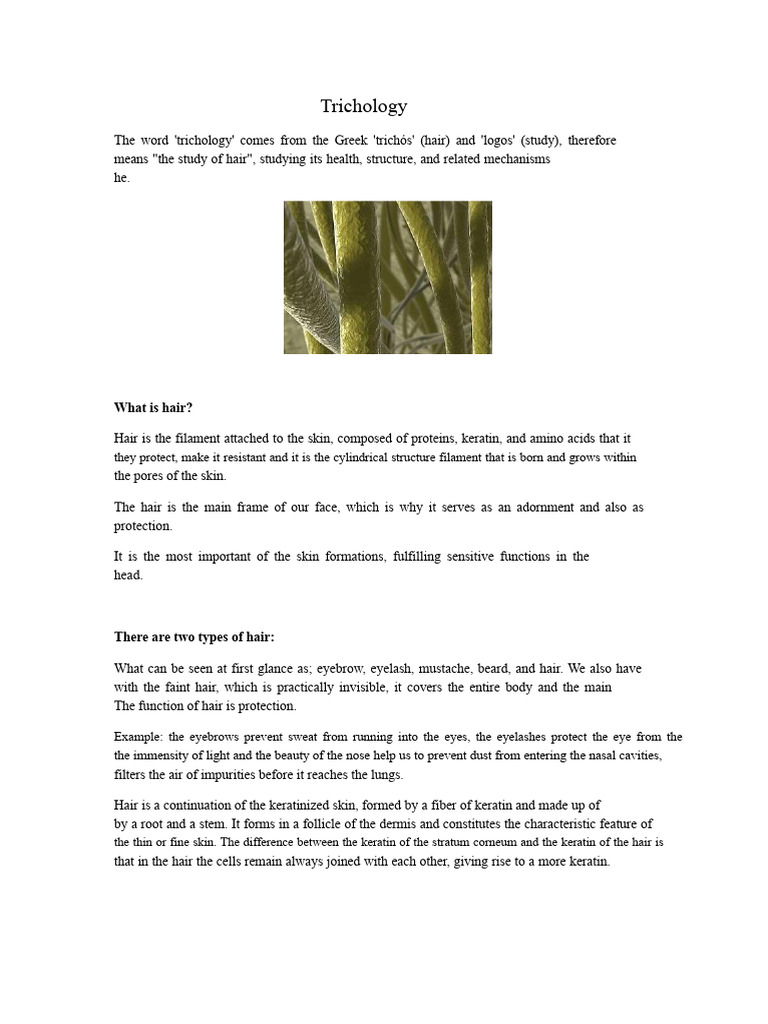 Colorimetry and Specifications | PDF | Skin | Hair