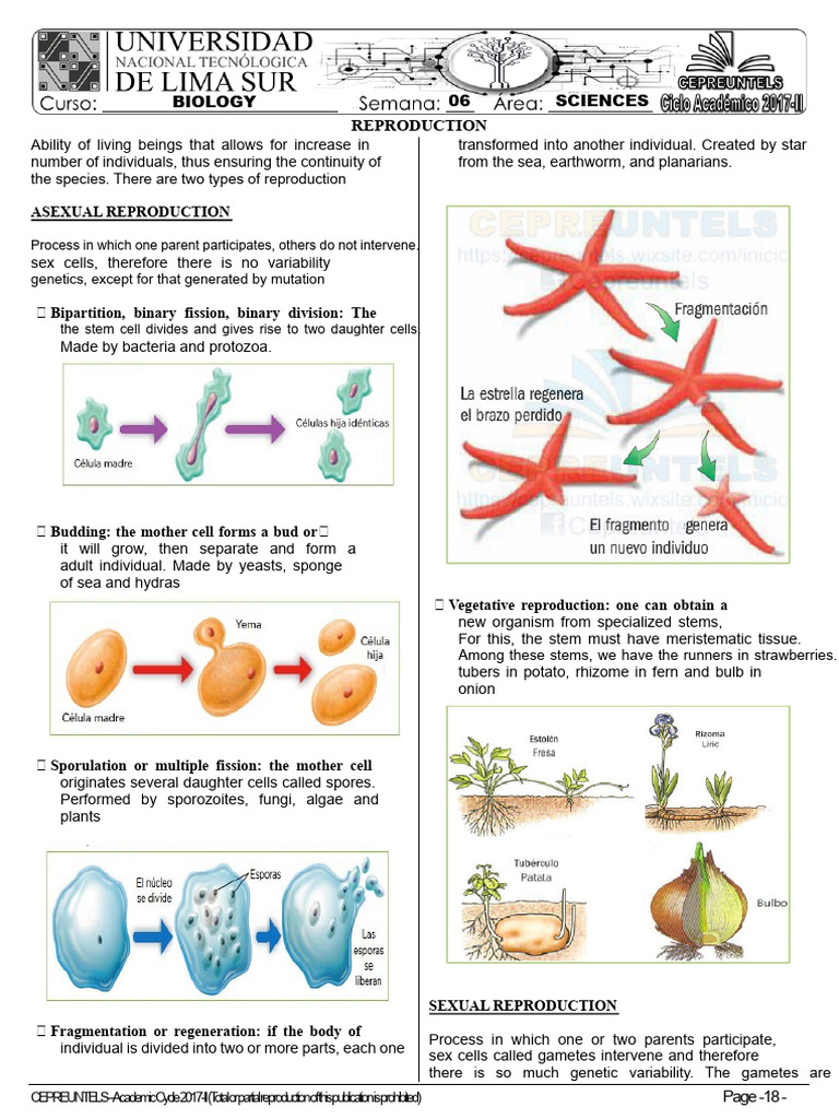 Reproduction of Living Beings | PDF | Meiosis | Mitosis