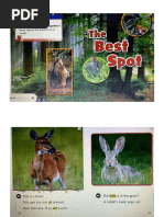 Lesson5 Worksheet | PDF