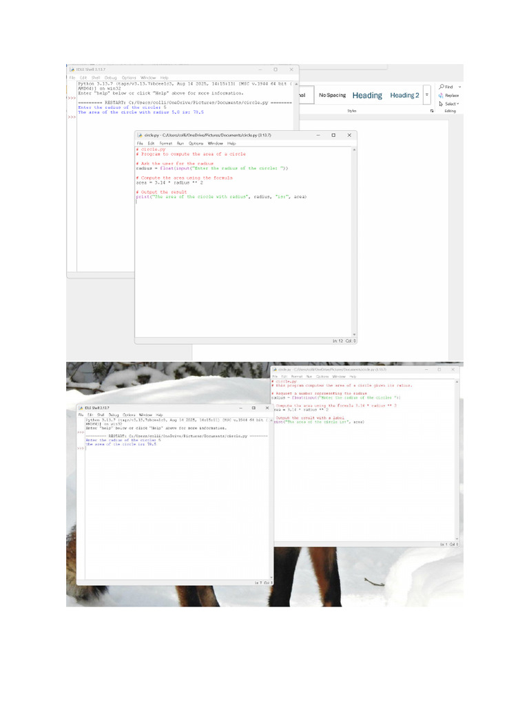 Programming Exercise 1.4 | PDF