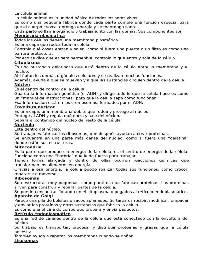 Estructura y función de la célula animal | PDF | Biología Celular ...