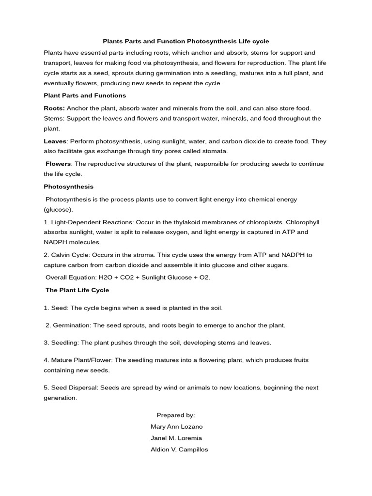 Plants Parts and Function Photosynthesis Life Cycle II BEED 16 | PDF